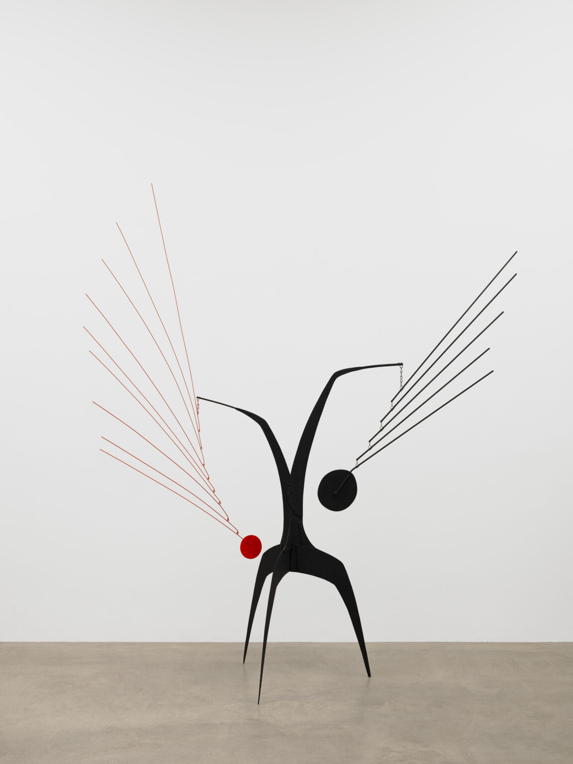 Calder Foundation