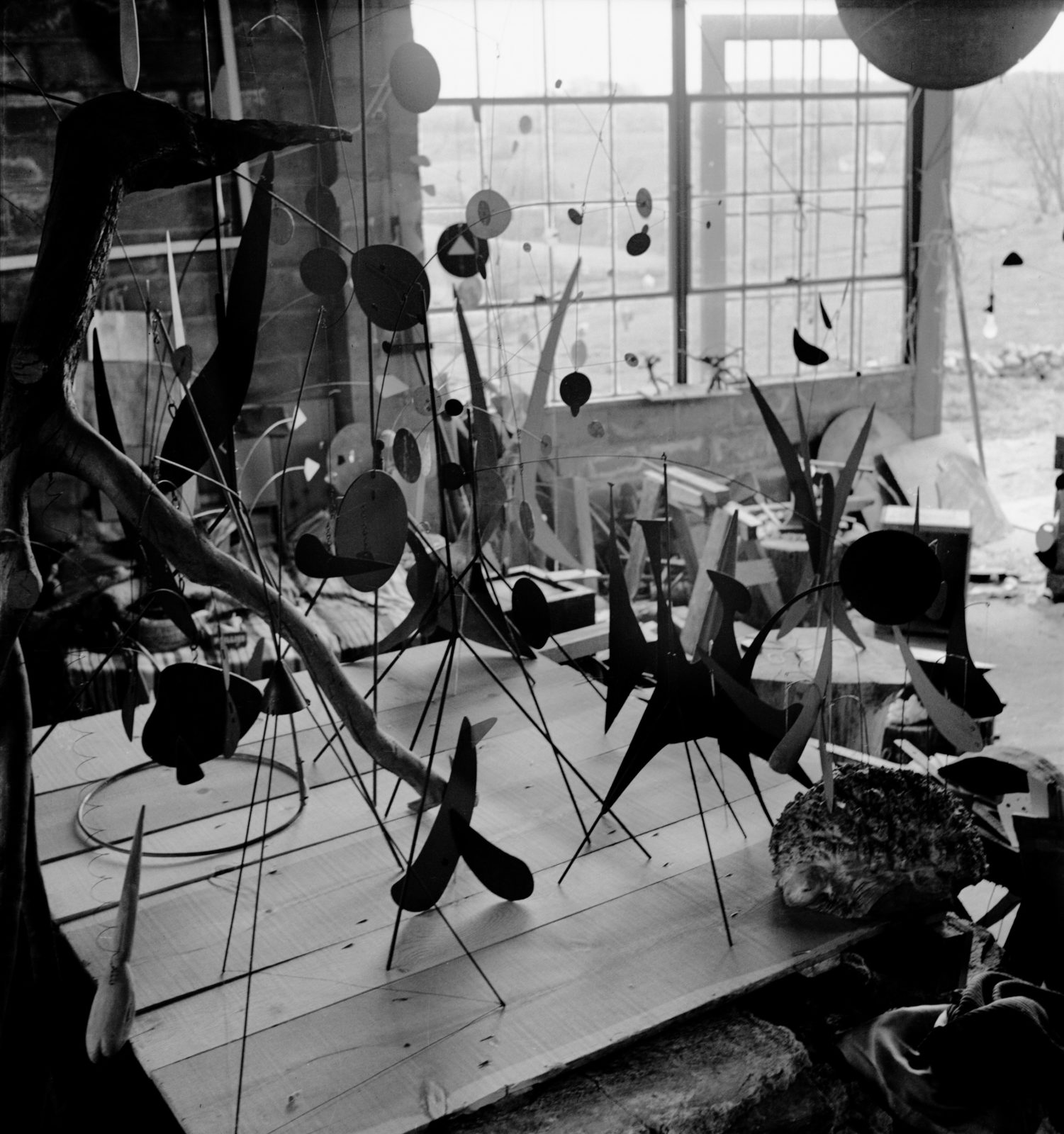 Yucca (1941) | Calder Foundation