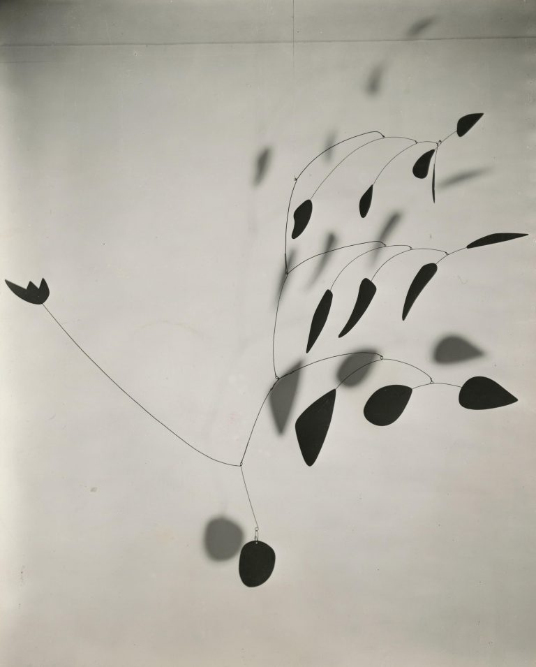 Black Flower (1943) | Calder Foundation