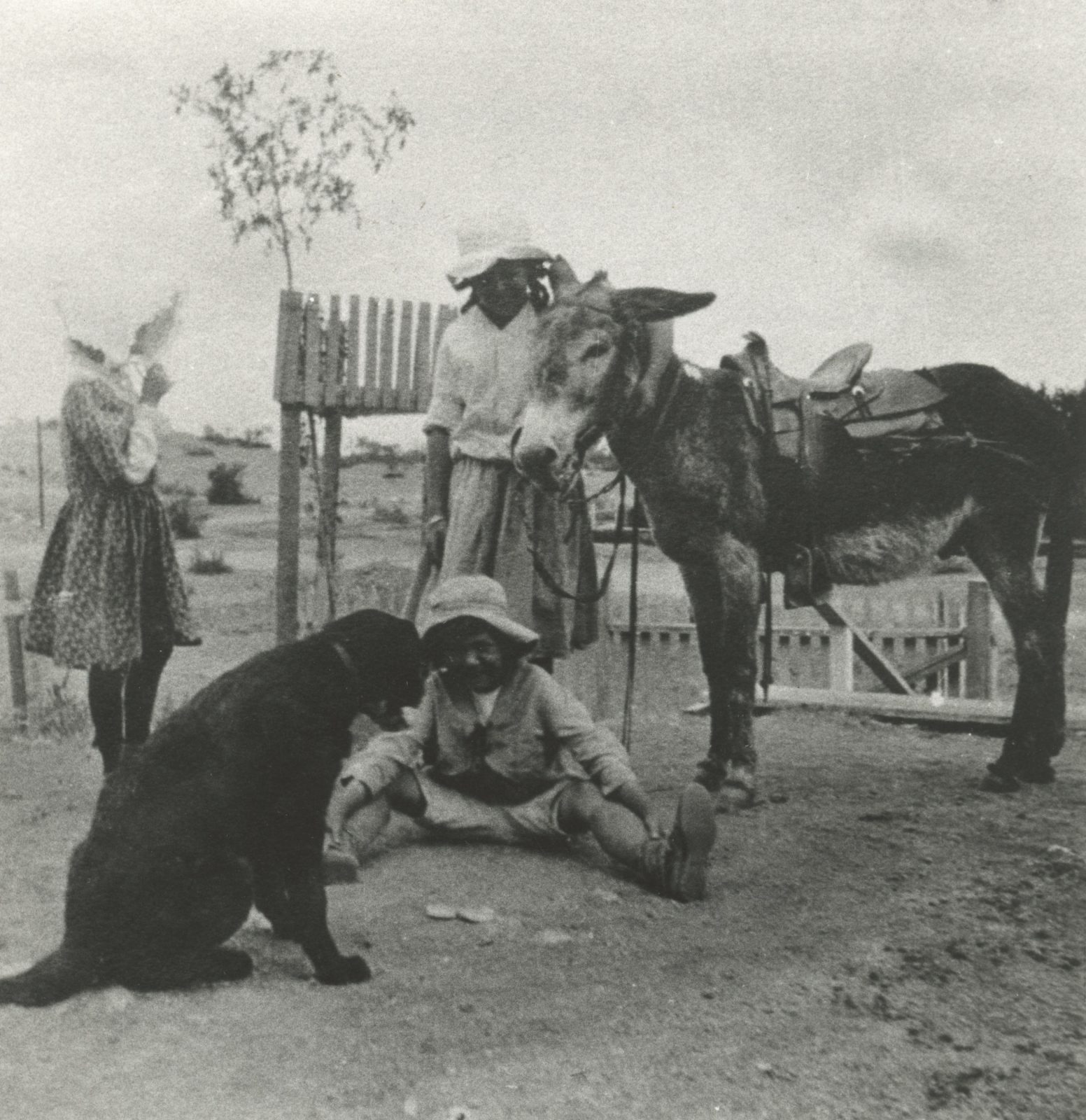 1898–1925 | Calder Foundation