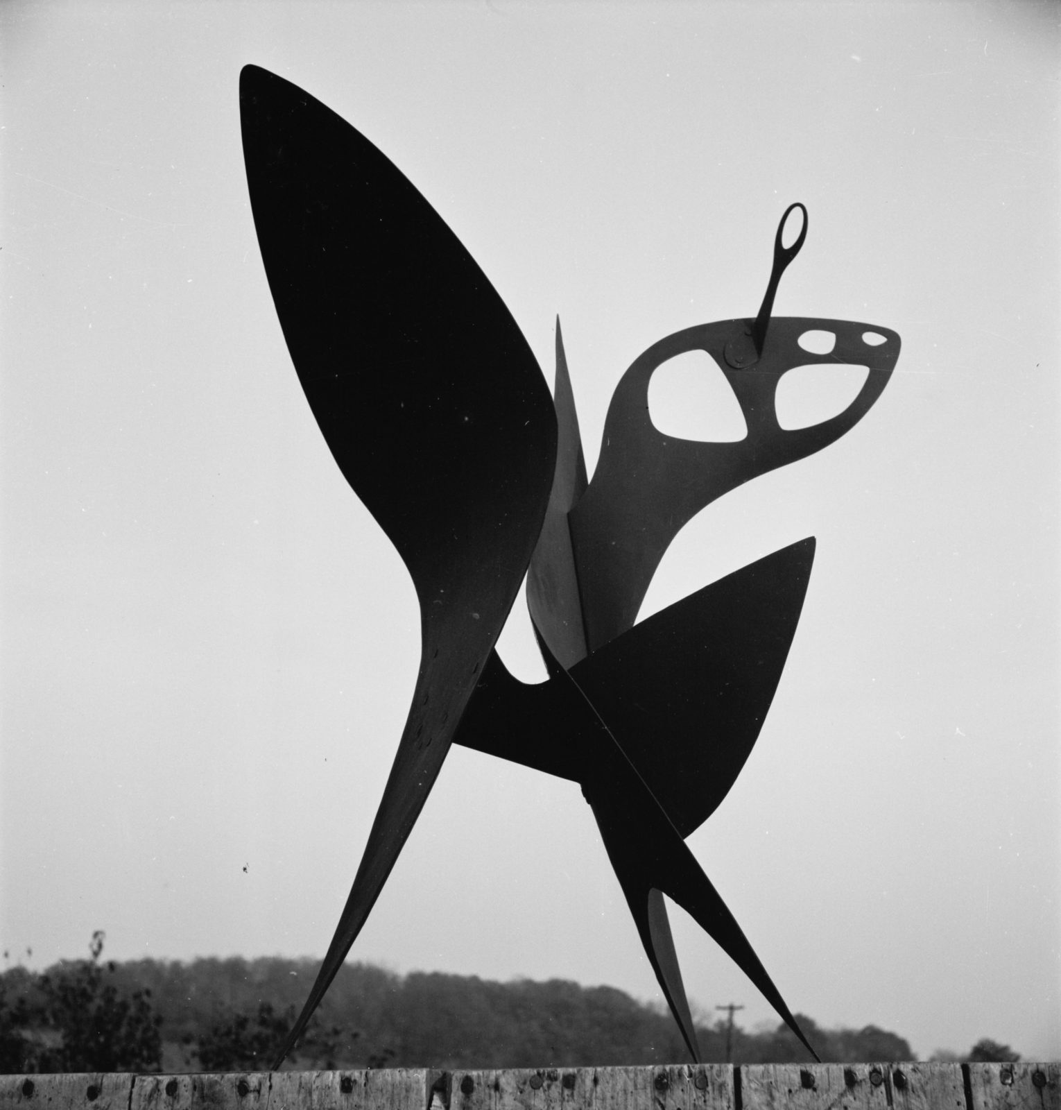 Monocle (1947) | Calder Foundation