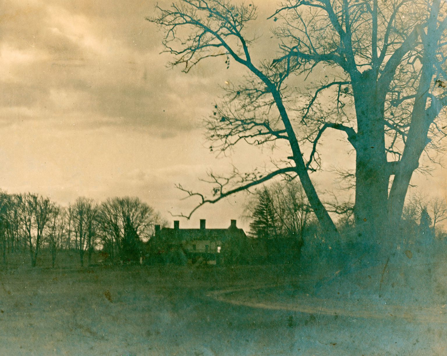 1898–1925 | Calder Foundation