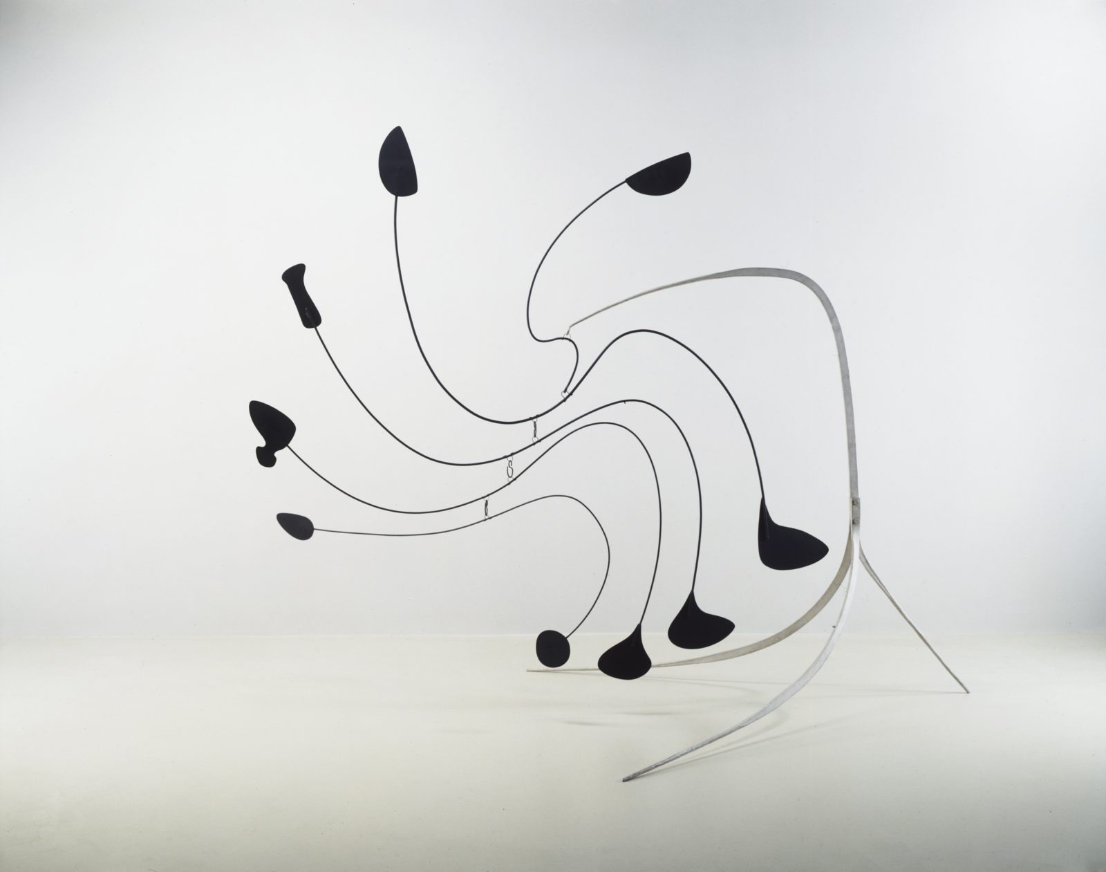 Black Petals (1939) | Calder Foundation