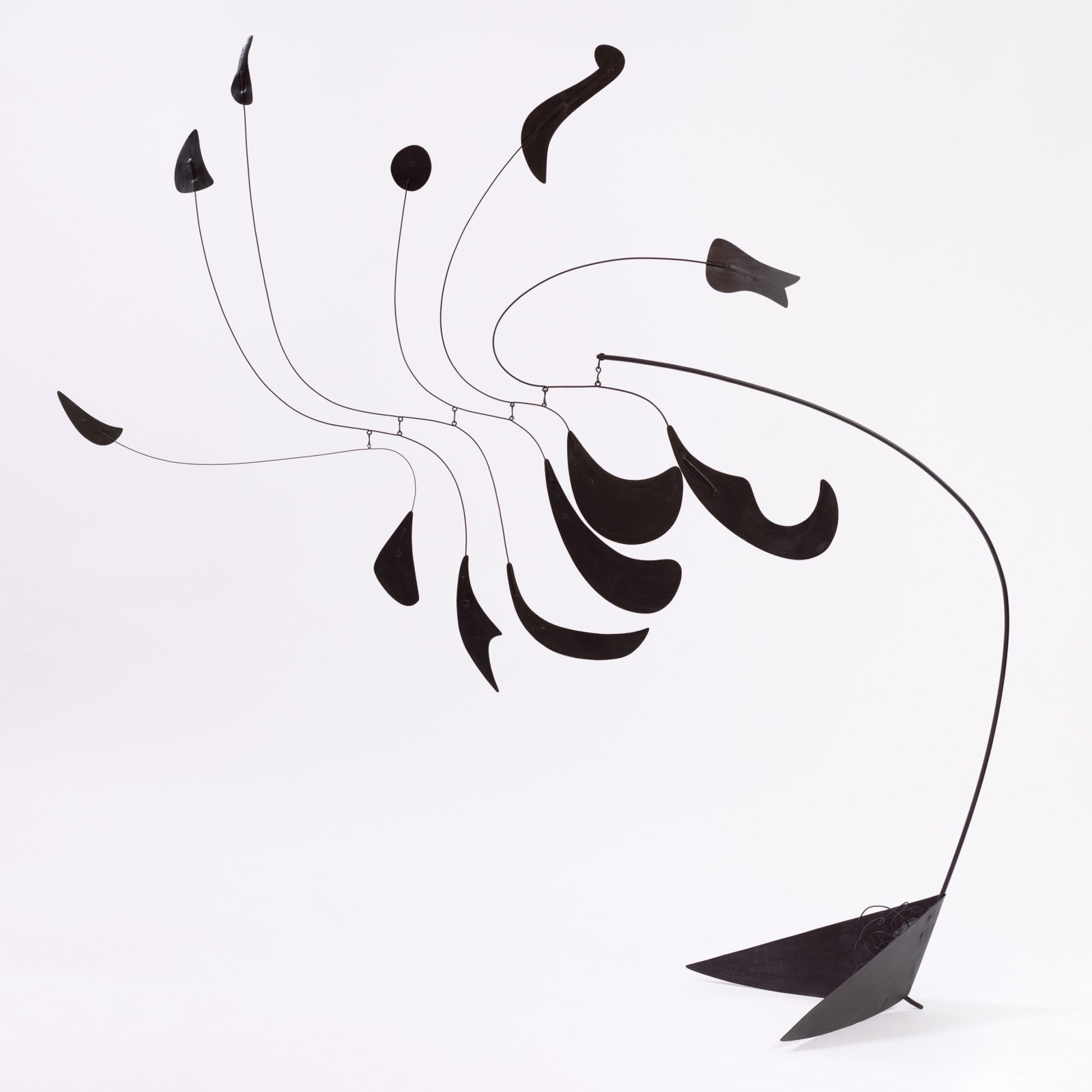 Current & Upcoming Exhibitions | Calder Foundation