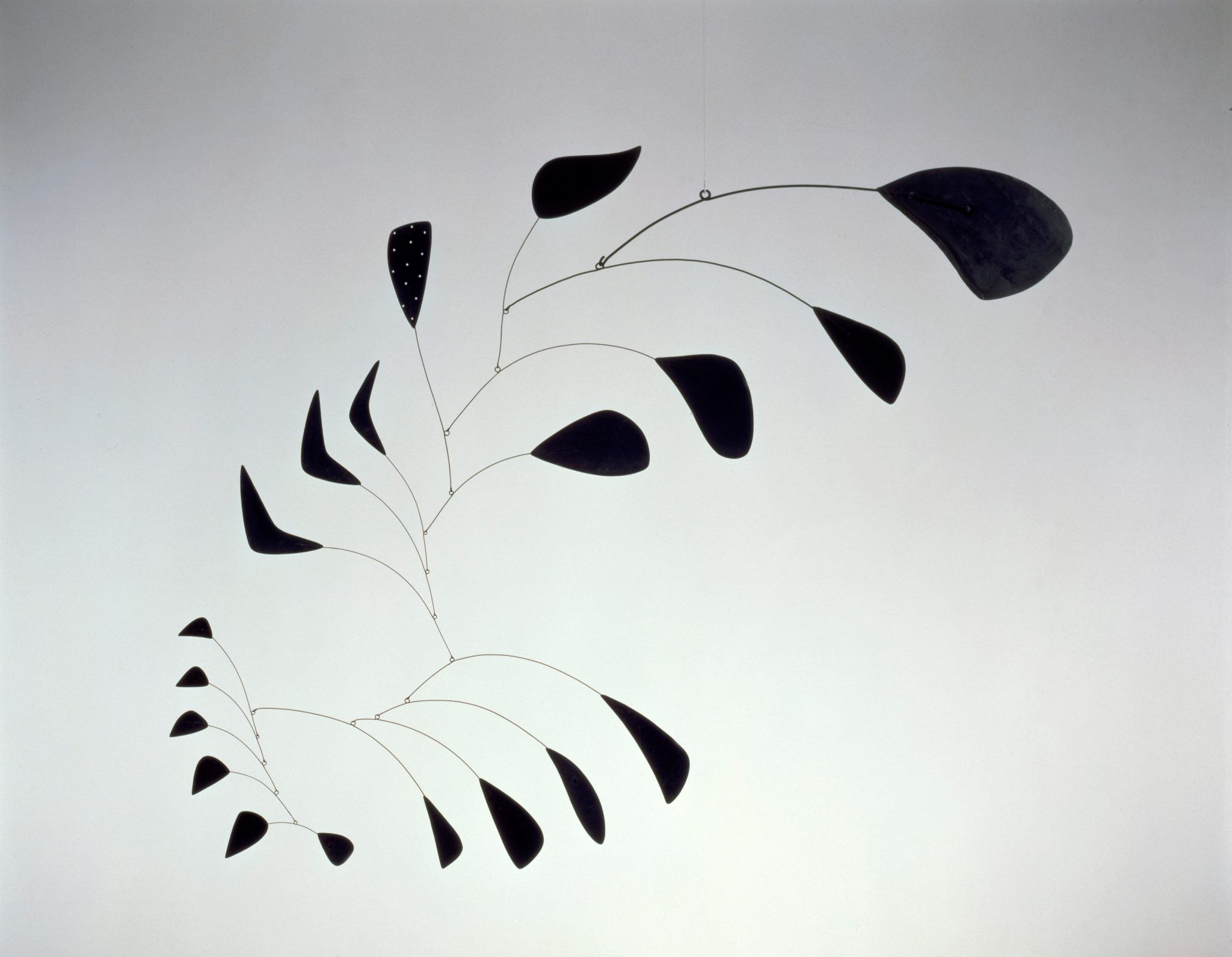 Calder Foundation